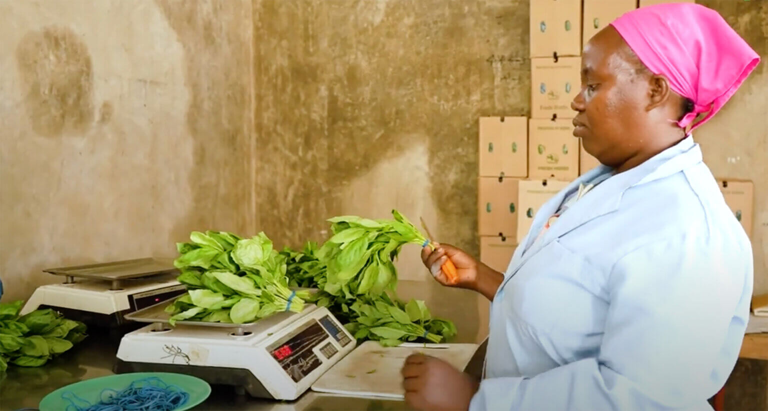 Innovative solutions from Kenyan entrepreneurs - Judith Neilson Foundation