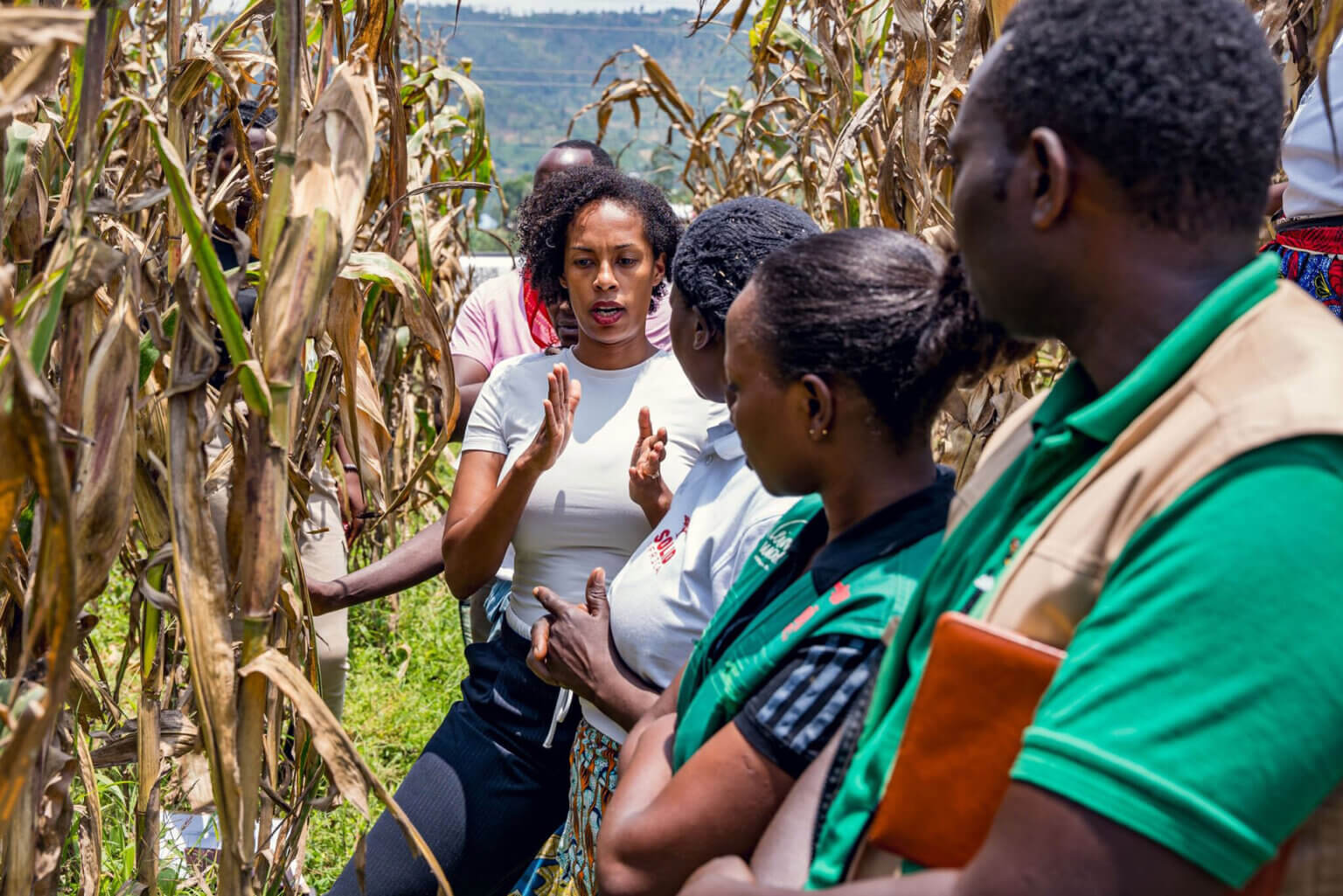 Judith Neilson Foundation Home